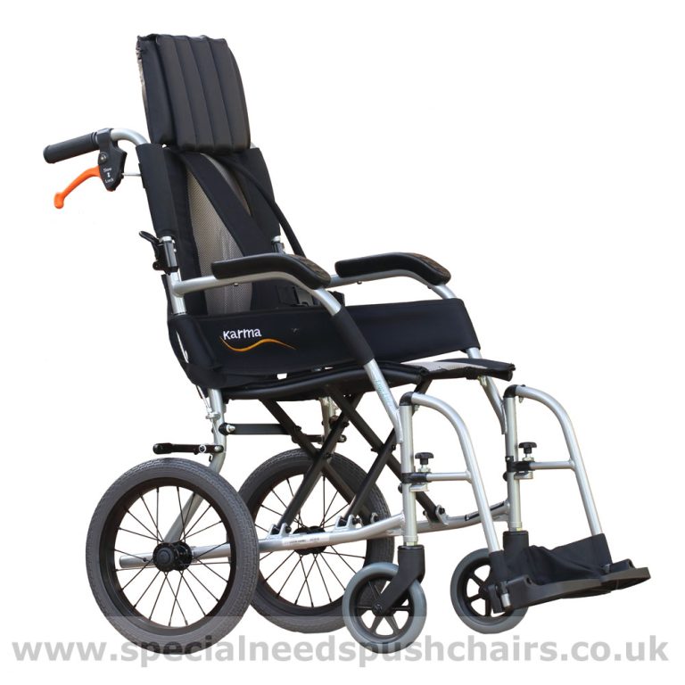 Special Needs Pushchairs - 01363 881110